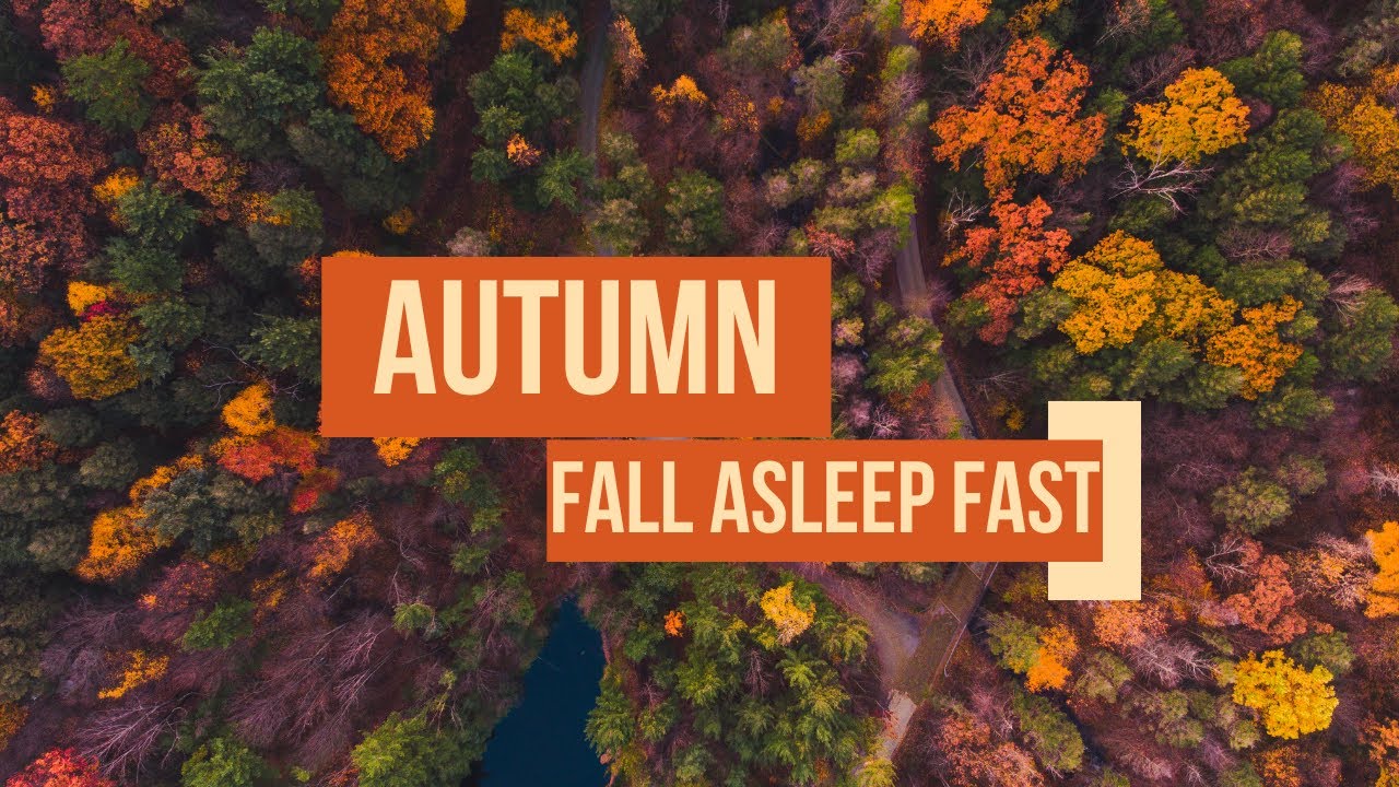 Fall Asleep Fast: Soothing Autumn Ambiance Sound Sleep Music Deep video ...