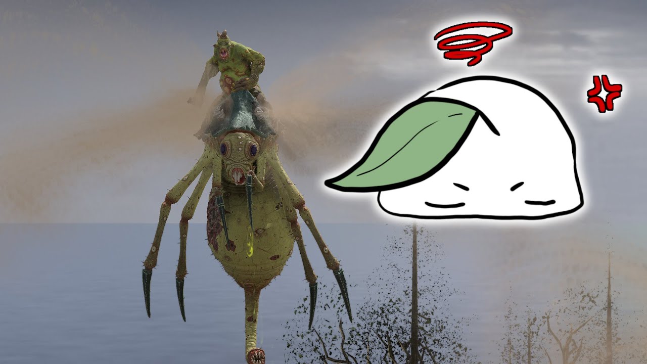 🔴 Proving To Turin Rot Flies OP - Tournament - YouTube