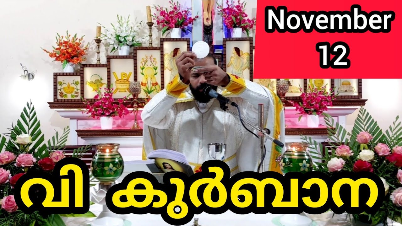 Holy Mass November 12 Wednesday Malayalam 5.30 am Syromalabar #holymass ...
