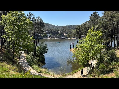 Aydos Ormanı  🌲 | Aydos Mesire Yeri - Piknik Alanı | Aydos Gölü (İstanbul Piknik Yerleri) 🌳