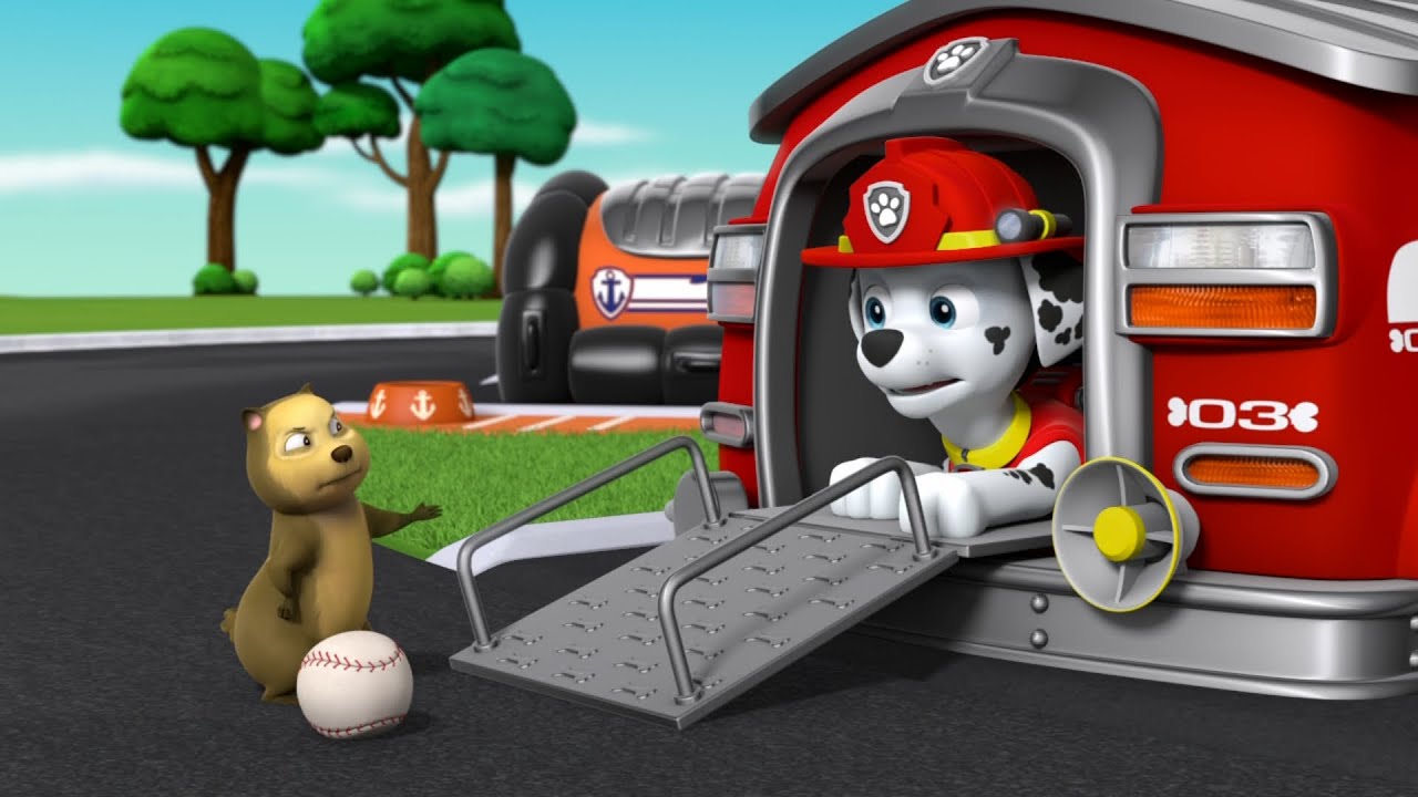 Sorry Mr. Gopher Hey I Never Knew You Talked - Paw Patrol - YouTube