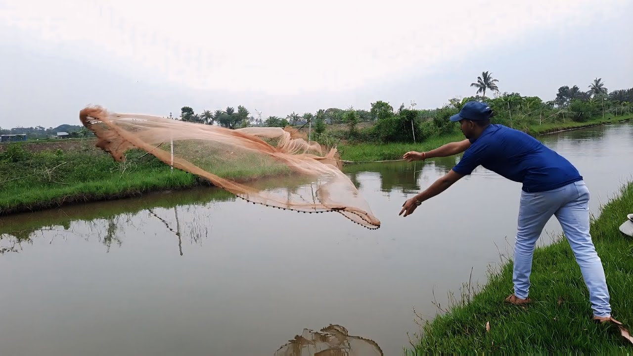 Best Net Fishing||Smart Boy Catching Fish With A Cast Net ...