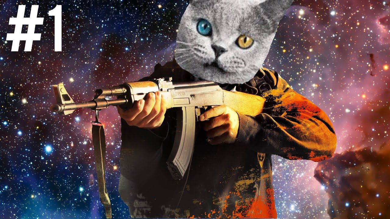 Counter-Strike Cats: Episode 1 - Would You Look at That - YouTube