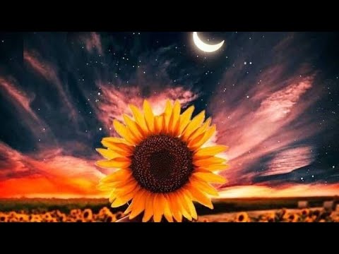 Gözəl Dini Statuslar 2020