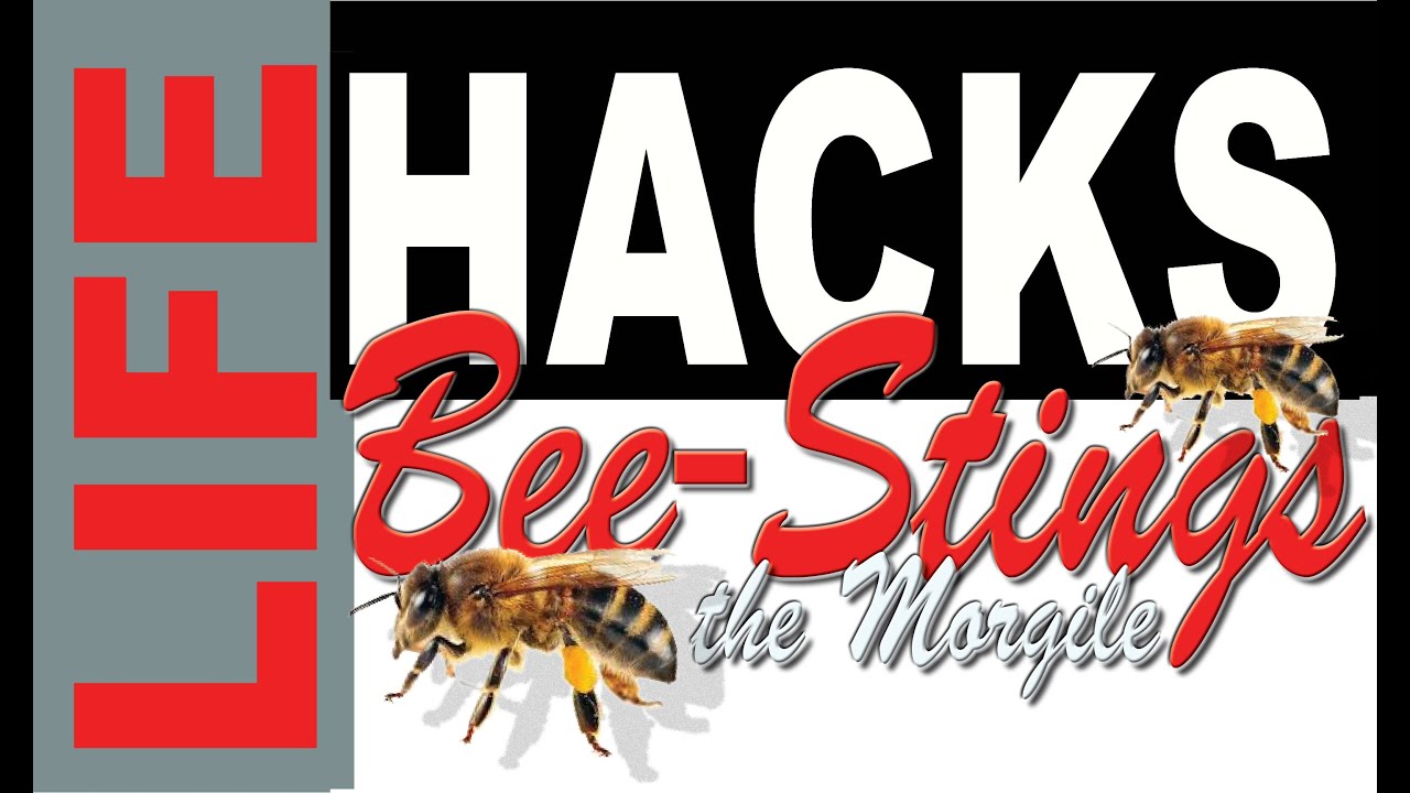 LIFE HACK - For Bee or Wasp Stings ~ 5 minutes $1.00 ~ - YouTube
