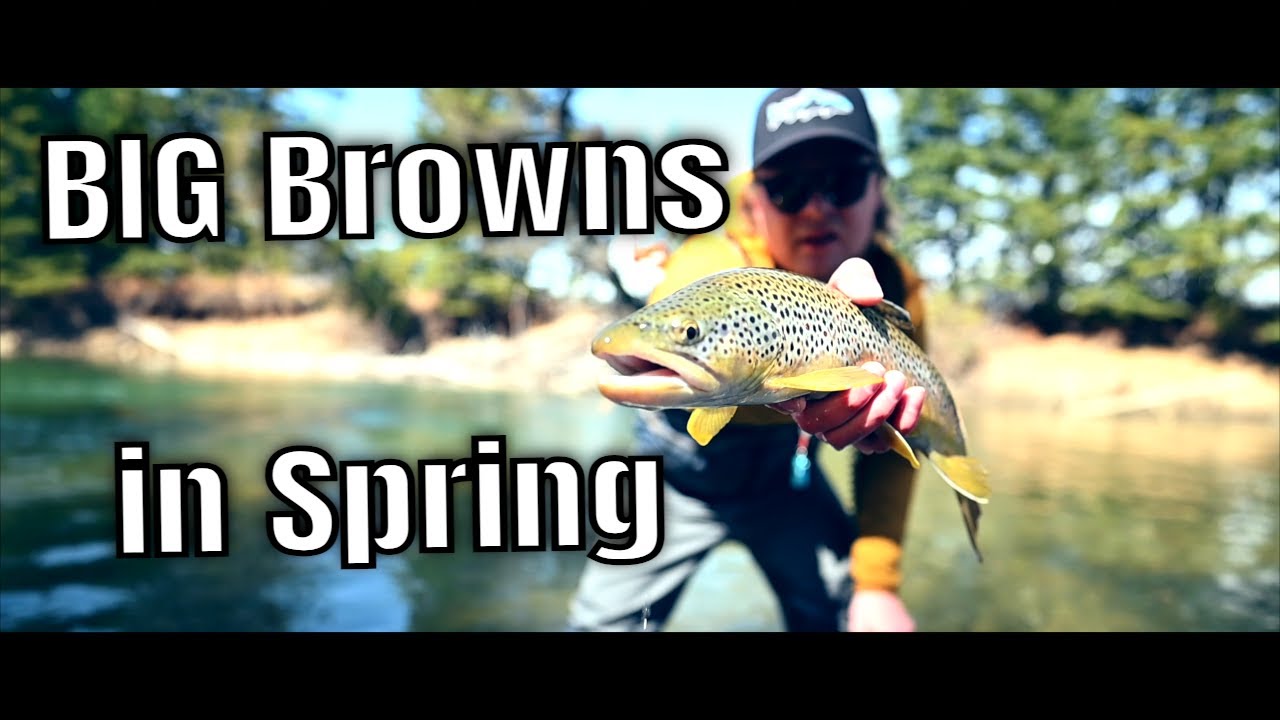 Spring Time Fly Fishing for BROWN TROUT. A CINEMATIC Fly Fishing Film ...