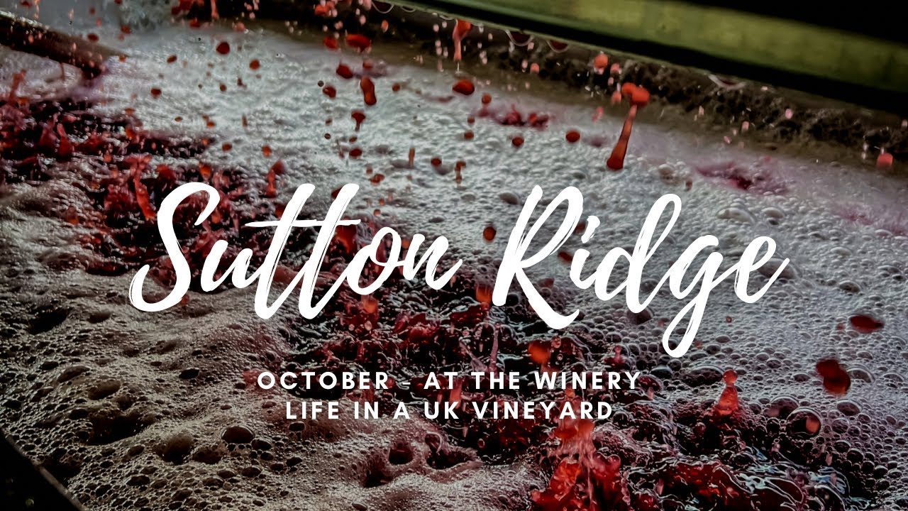 Sutton Ridge October at the Winery - Hunter Gatherer Cooking HGC - YouTube
