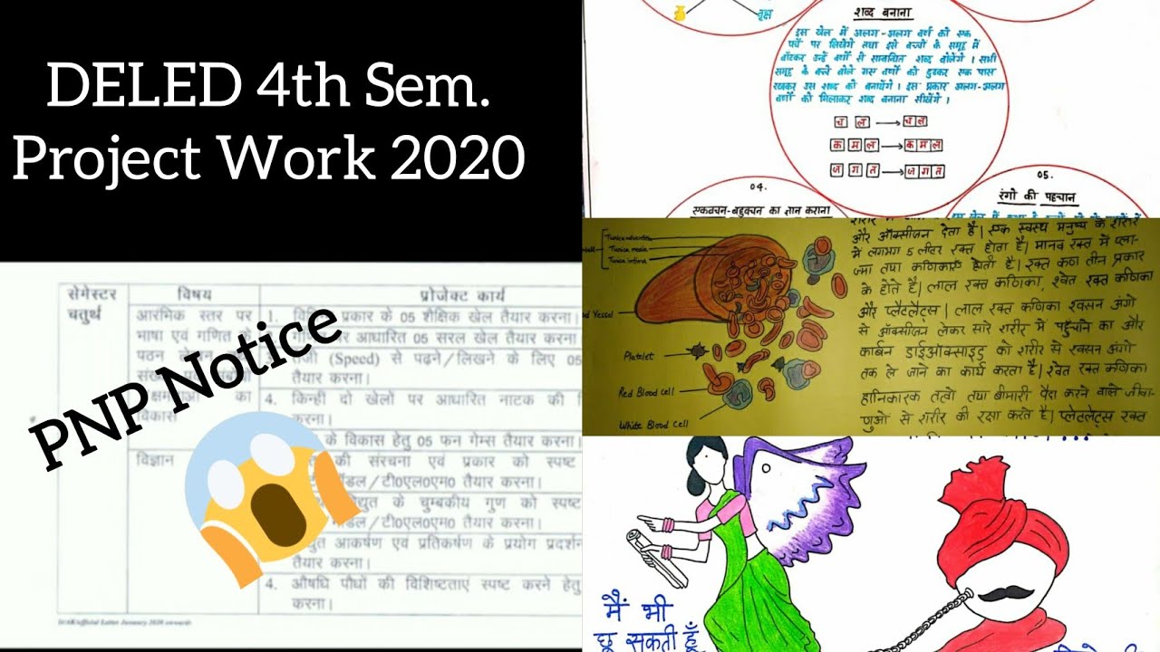 DELED 4th Semester All Subject Project Work 2020 - YouTube
