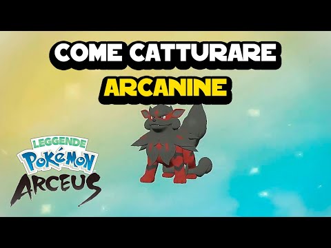 How to Catch Arcanine (Growlithe) on Pokemon Arceus