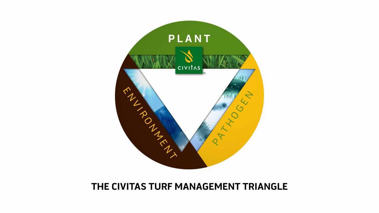 Turf Triangle Slower - YouTube