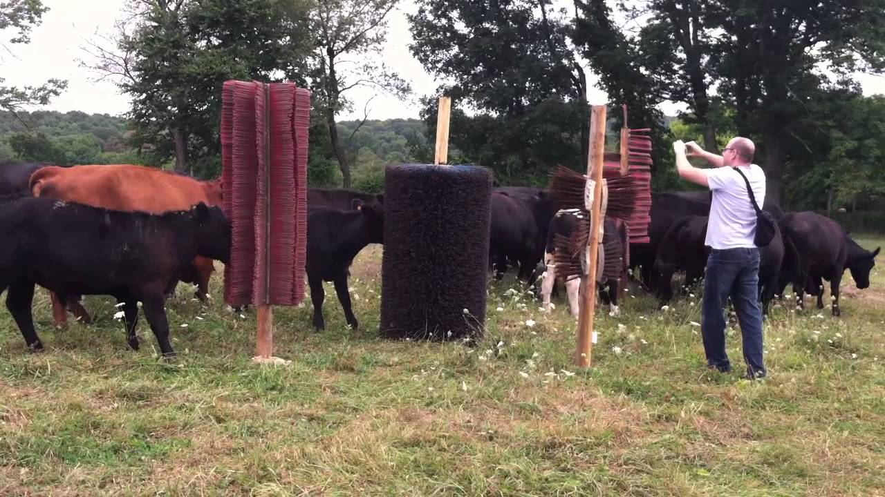 cow wash installation - YouTube
