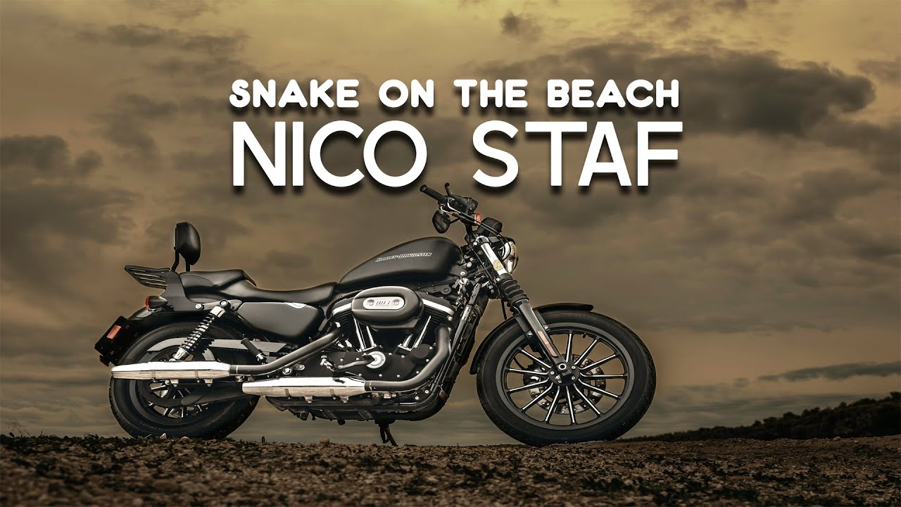 Snake on the Beach By Nico Staf | No Copyright Background Music | My ...