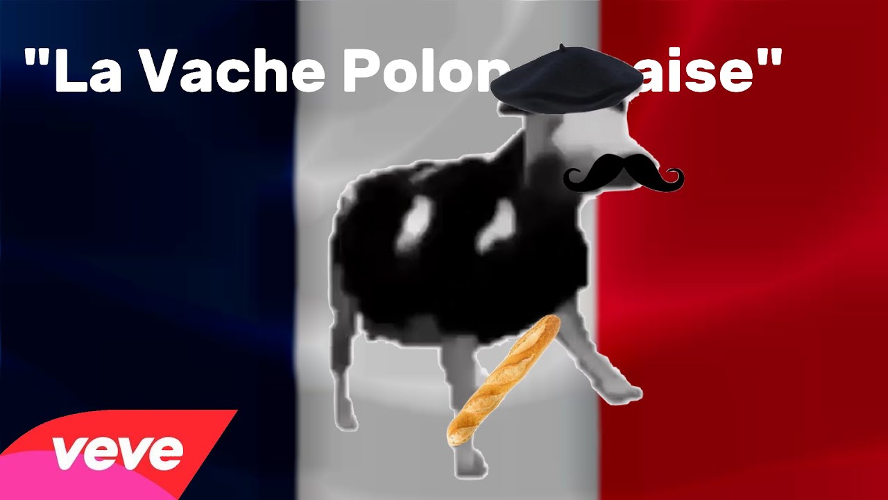 Polish Cow - Version Française [Cover] - YouTube