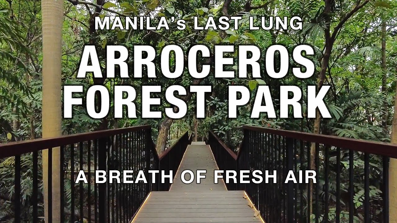 Arroceros Forest Park | MANILA'S GREAT GREEN SPACE | Gubat sa Maynila ...