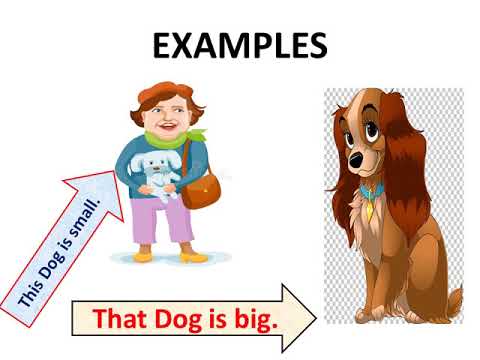 English-Use of This and That.Grade 1 - YouTube