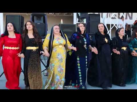 HOZAN MENİCE  GOWENDA SEPE - YÜKSEKOVA | 2026 