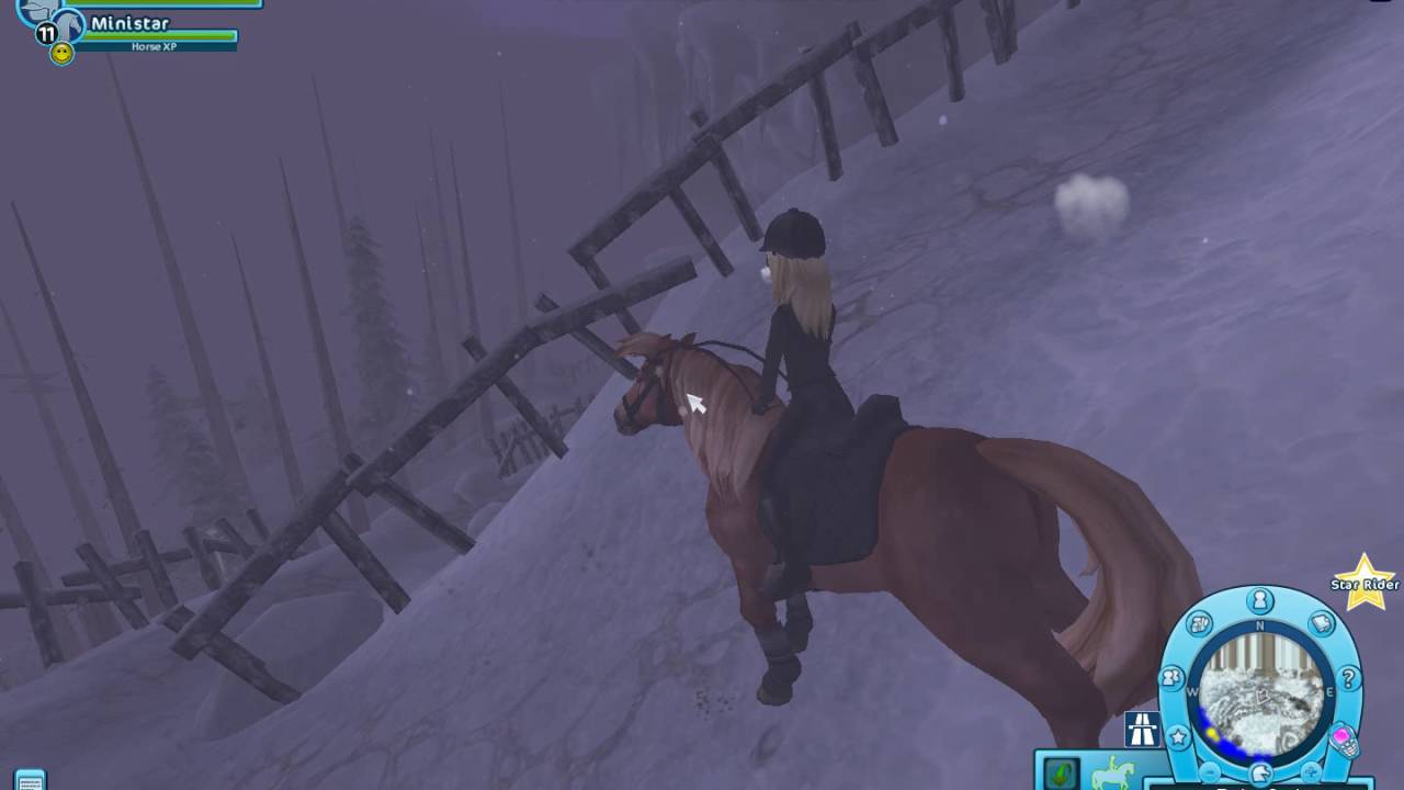 Star Stable . Buying a Fjord Horse - YouTube