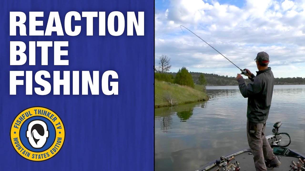 Reaction Bite Fishing (how to) - YouTube