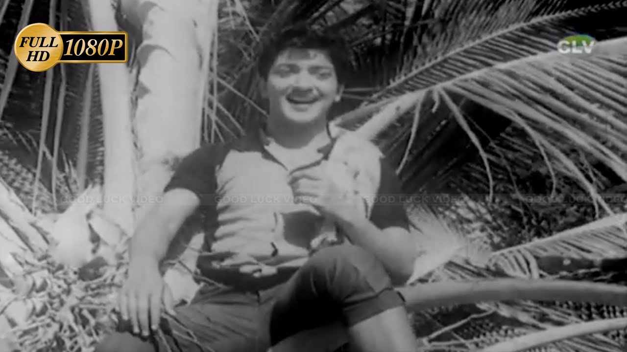 தென்னை மரத்துல குடியிருப்பதா பாடல் |Thenna Marathula Kudiyirupatha song ...