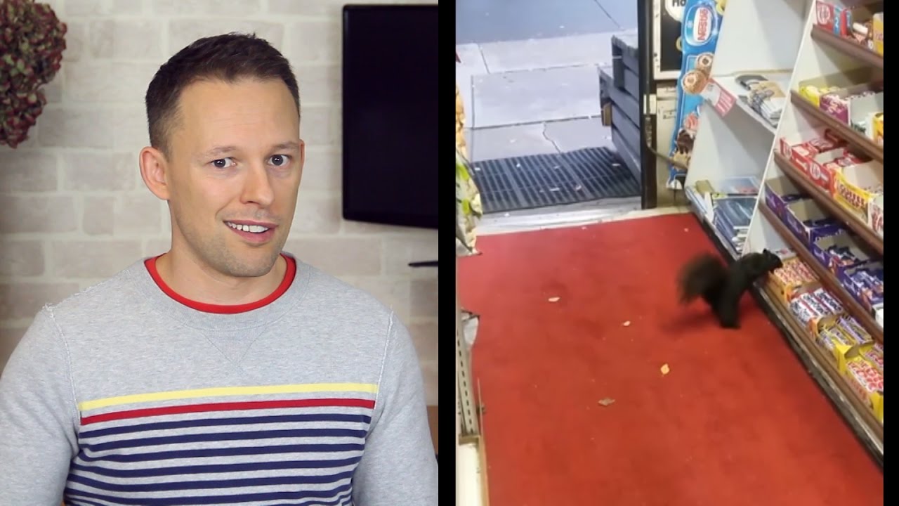 SQUIRREL THIEF caught stealing on camera TWICE! - YouTube