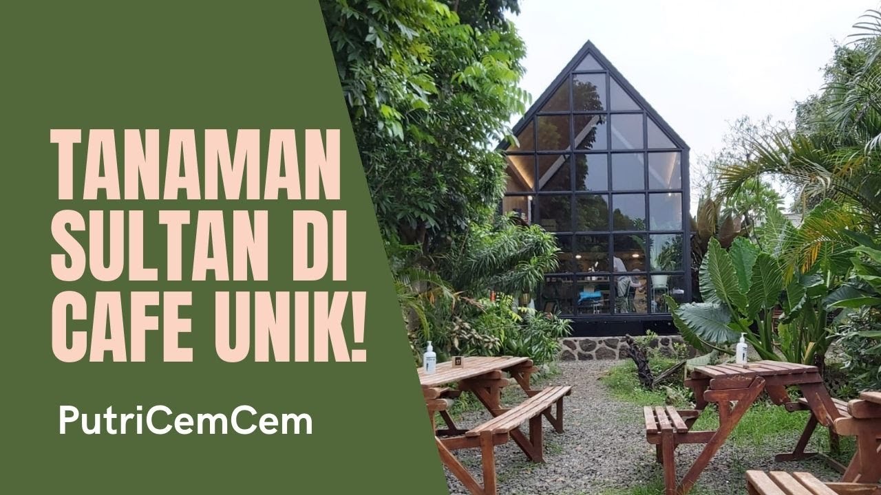 Cafe Unik Ada Galeri Tanaman Hias dan Rumah Hidroponik - YouTube