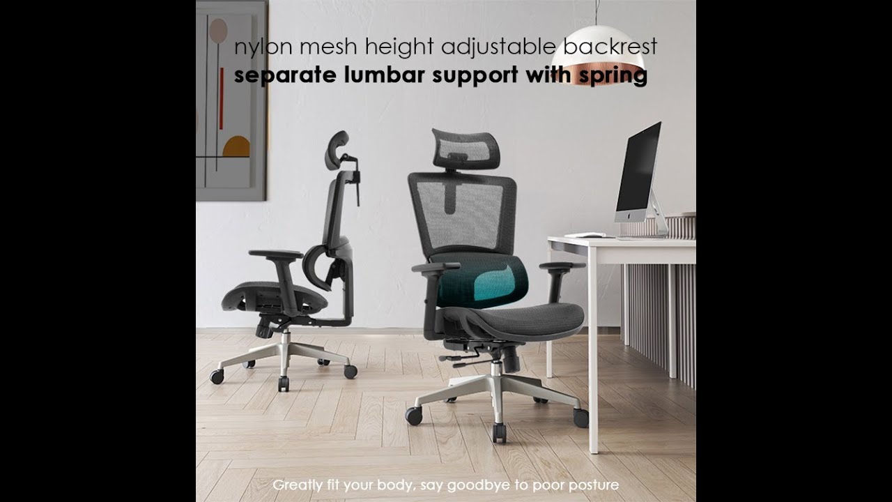 Ergo-H Lumbar Support High Back Office Chair - YouTube