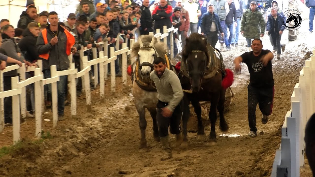 -DULE PASTUV U BOLJKOVCIMA TREĆI U SREDNJIM PAROVIMA - - YouTube
