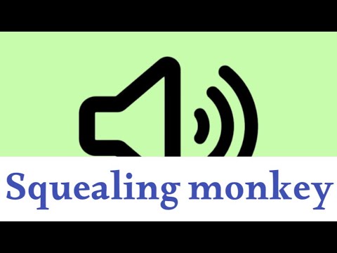 Squealing monkey - sound effect - YouTube