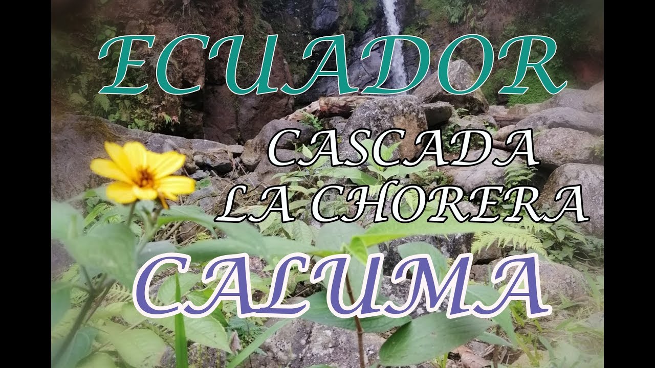 VISITANDO CALUMA ( ECUADOR) - YouTube