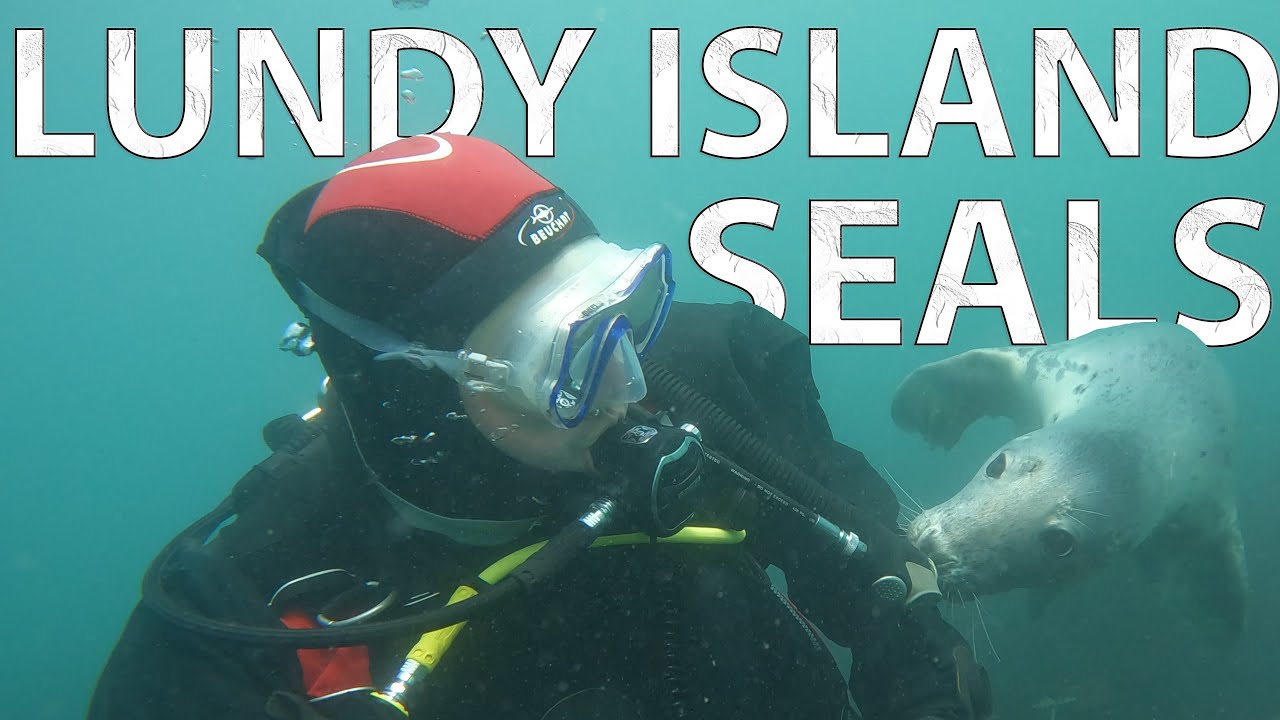 LUNDY ISLAND SEAL ADVENTURE | w/ Oyster Diving - YouTube