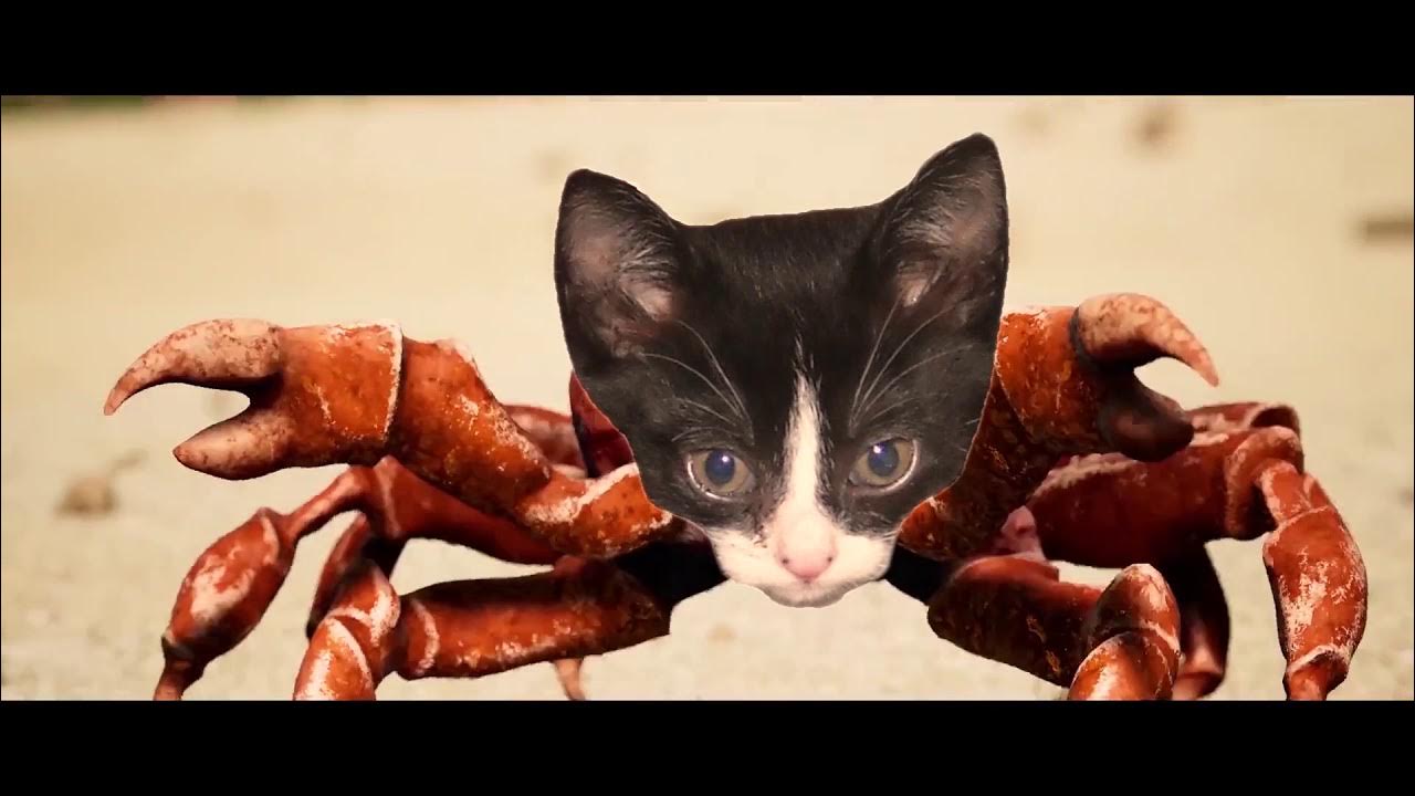 MooMoo Cat Crab Rave Party - MooMoo takes over Crab Island for a Party ...