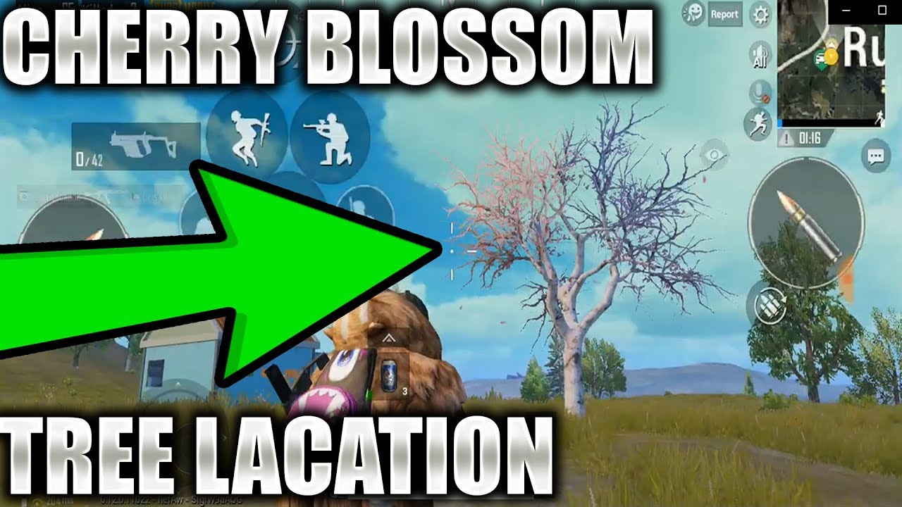 NEW Cherry Blossom Tree Gameplay!! | Pubg Mobile Cherry Blossom Tree ...