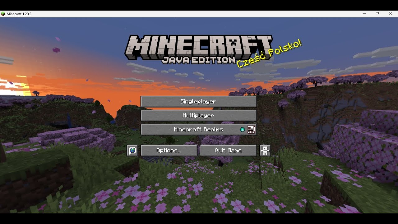 Minecraft Java Edition 1.19 part 1 - YouTube