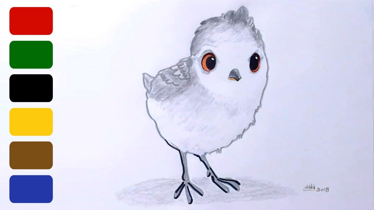 How to Draw the Bird Piper - Speed Drawing - YouTube