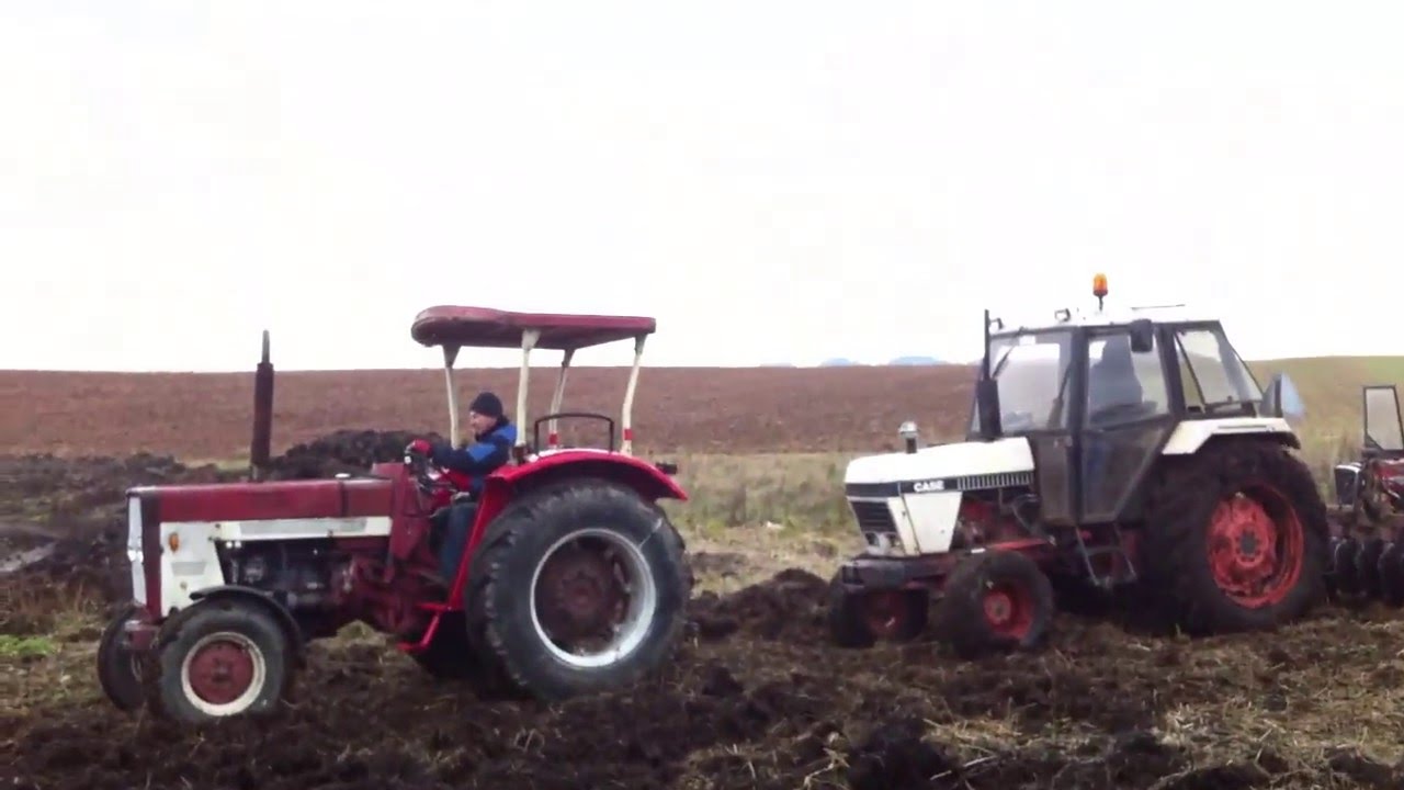 IHC 654 & CASE & MF 255 (Krzeszow) - YouTube