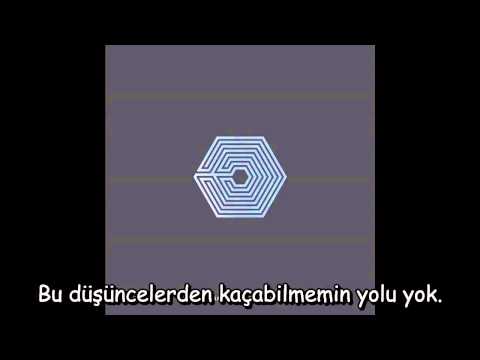 D.O (TLP) - Tell Me What Is Love TR Altyazılı