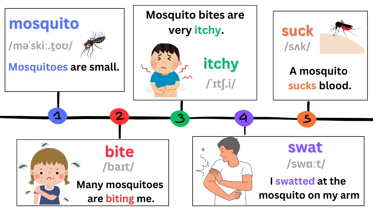 Easy Way to Learn 20 English Words a Day | Enhance your vocabulary ...