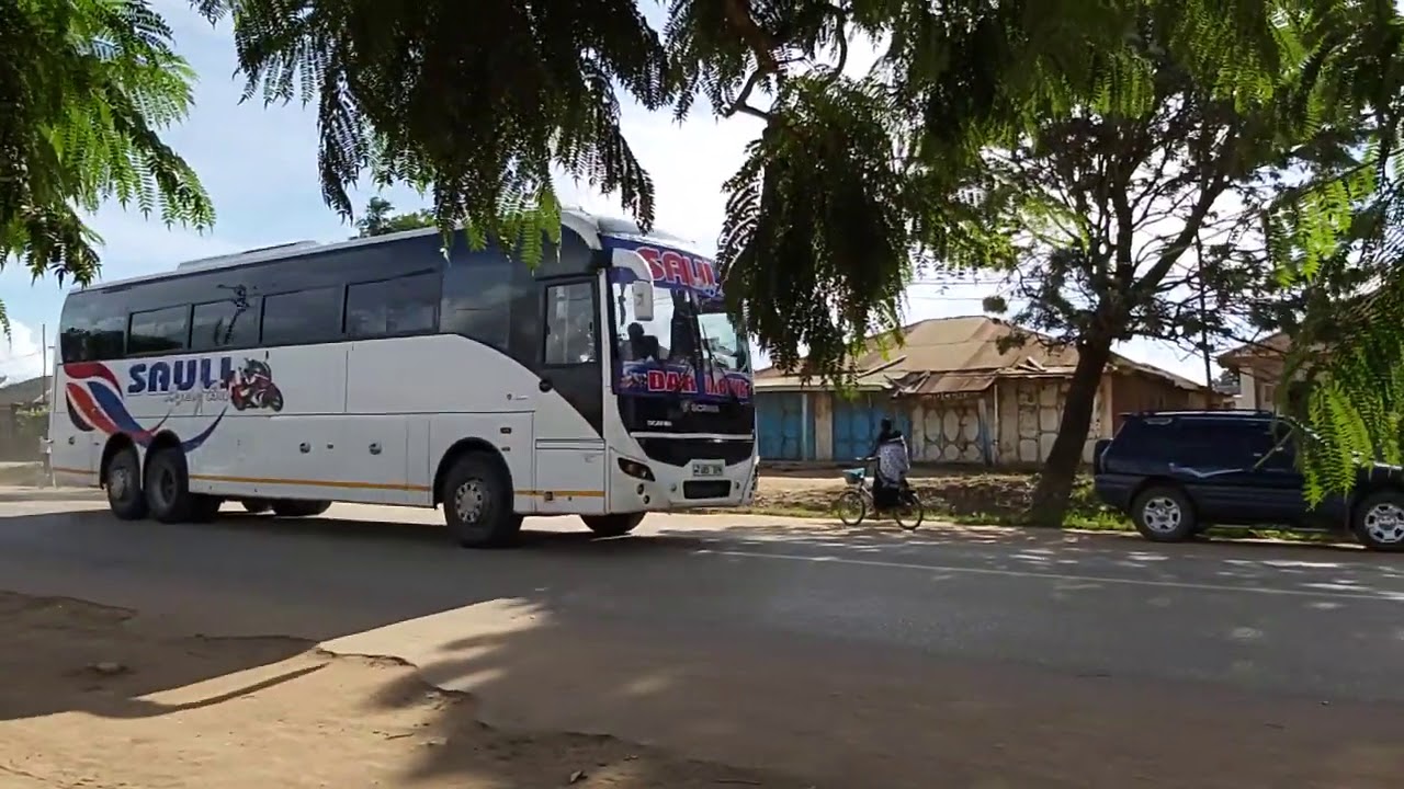 Sauli bus express - YouTube