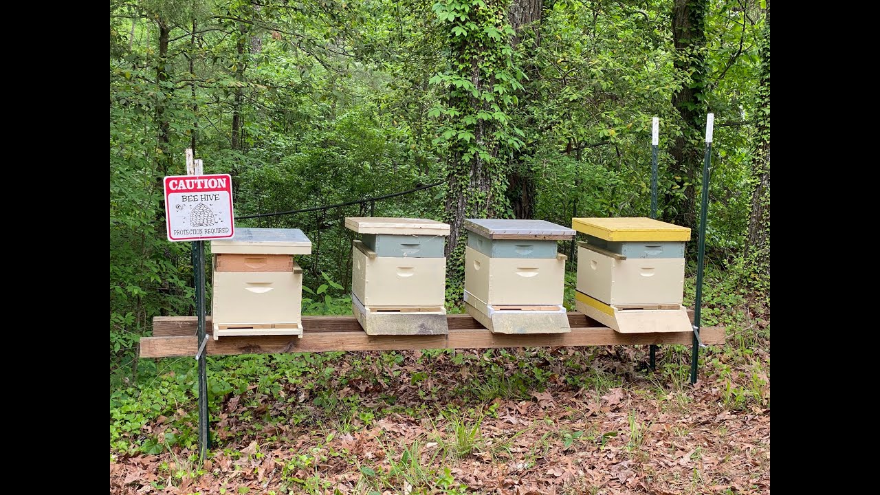 Setting up a honey bee hive stand on a sloping lot. - YouTube