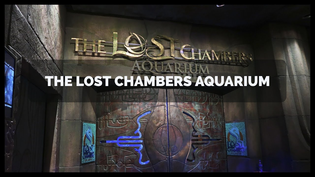 The Lost Chambers Aquarium - YouTube