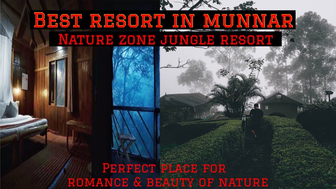 Nature zone resort munnar| Munnar resorts| Best resort in munnar| Best ...