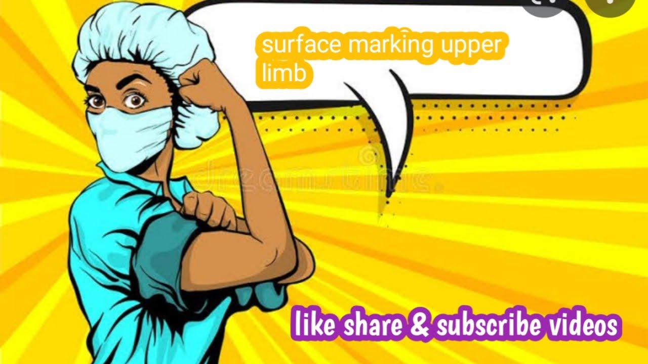 surface anatomy landmarks of the upper limb - human anatomy completed ...