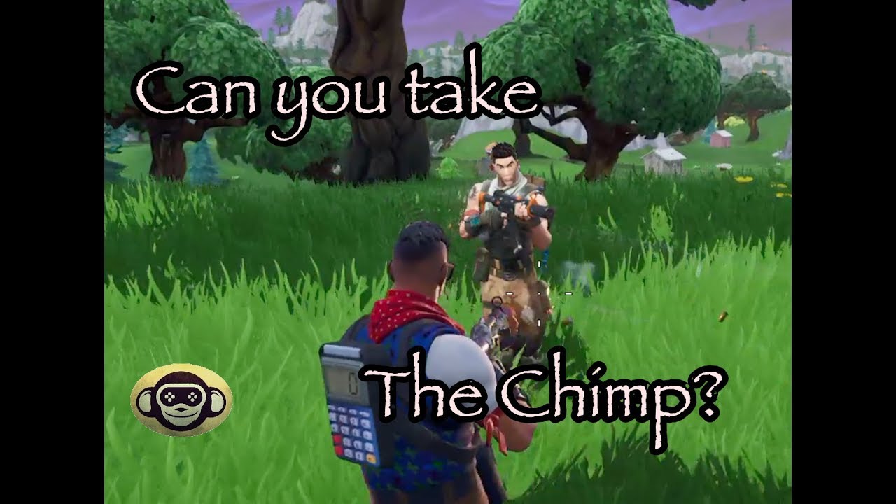 The Chimp plays Fortnite Solo, can he get the Victory Royale? - YouTube