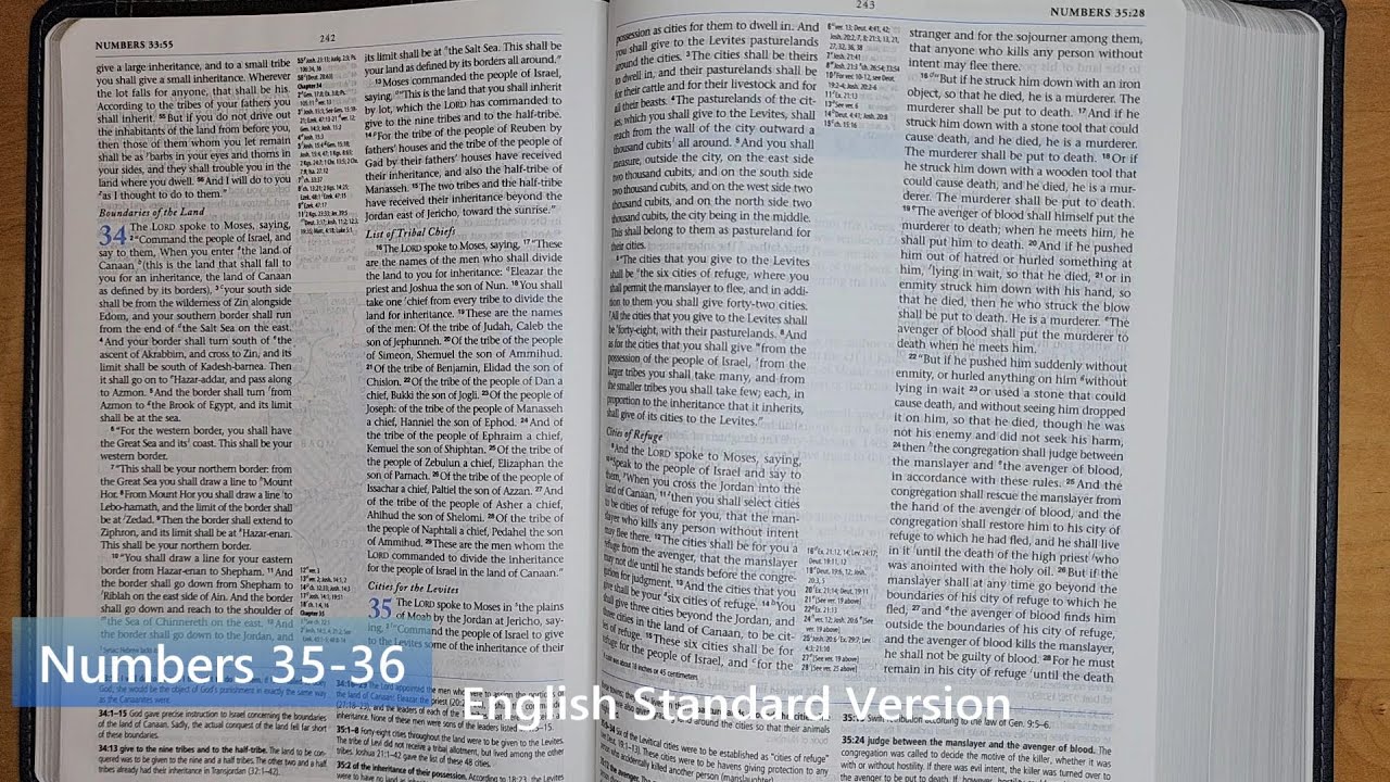 Bible in a Year - Day 52: Numbers 35-36, Psalm 52 - YouTube