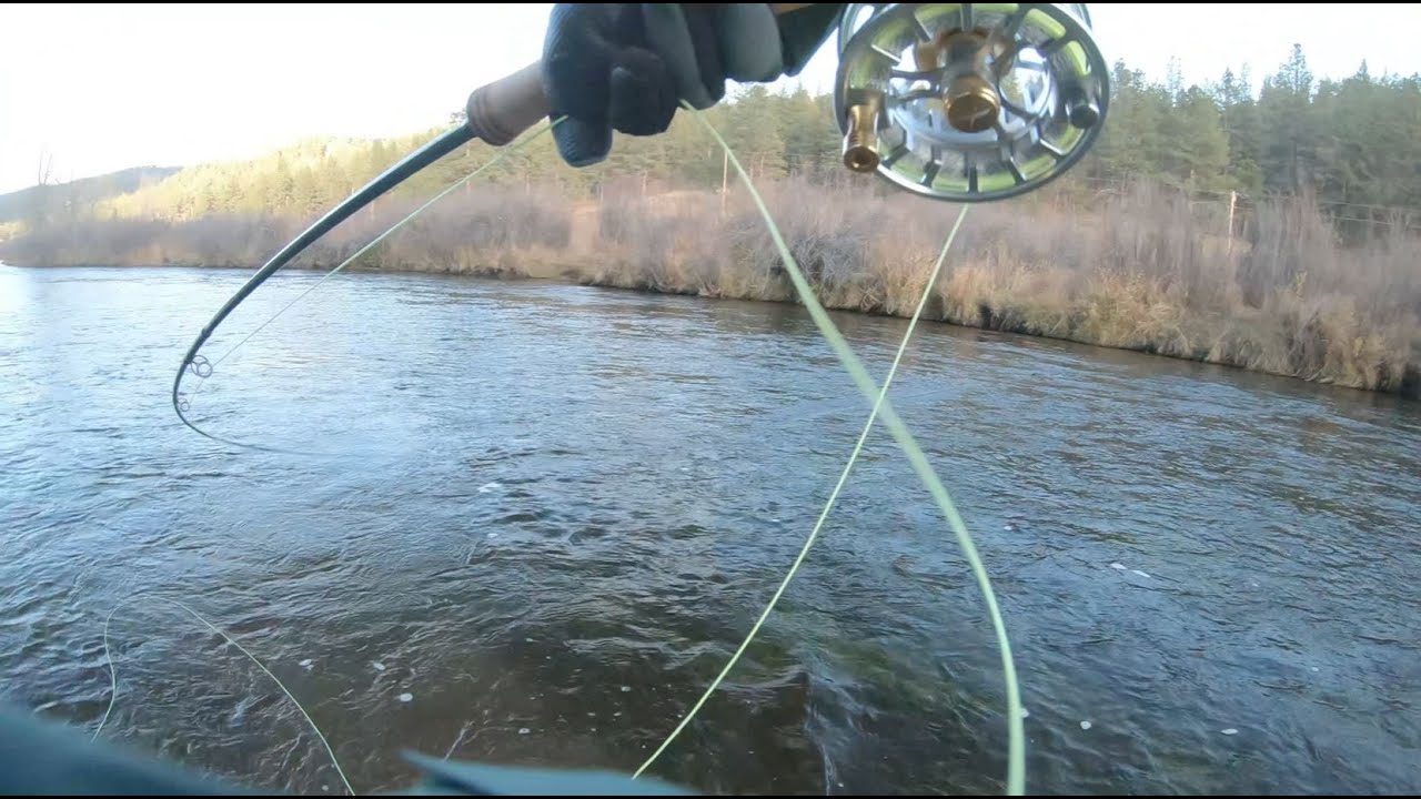 Fall Streamers - 40MPH Winds in Deckers - YouTube