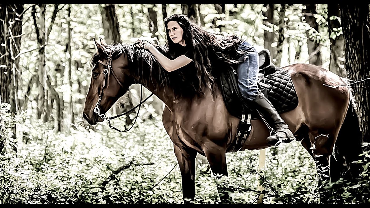 Forest Rides - YouTube