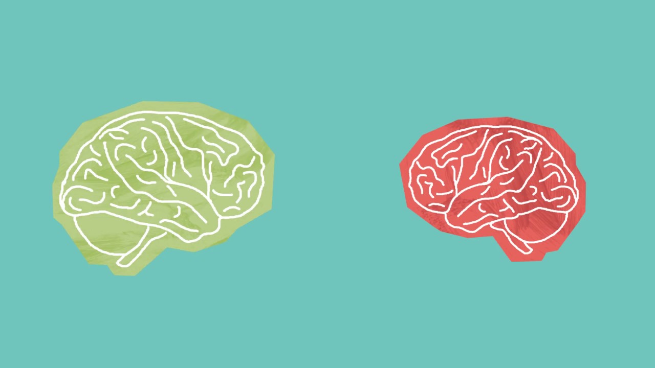 Transcranial Magnetic Stimulation: An Animated Explanation - YouTube