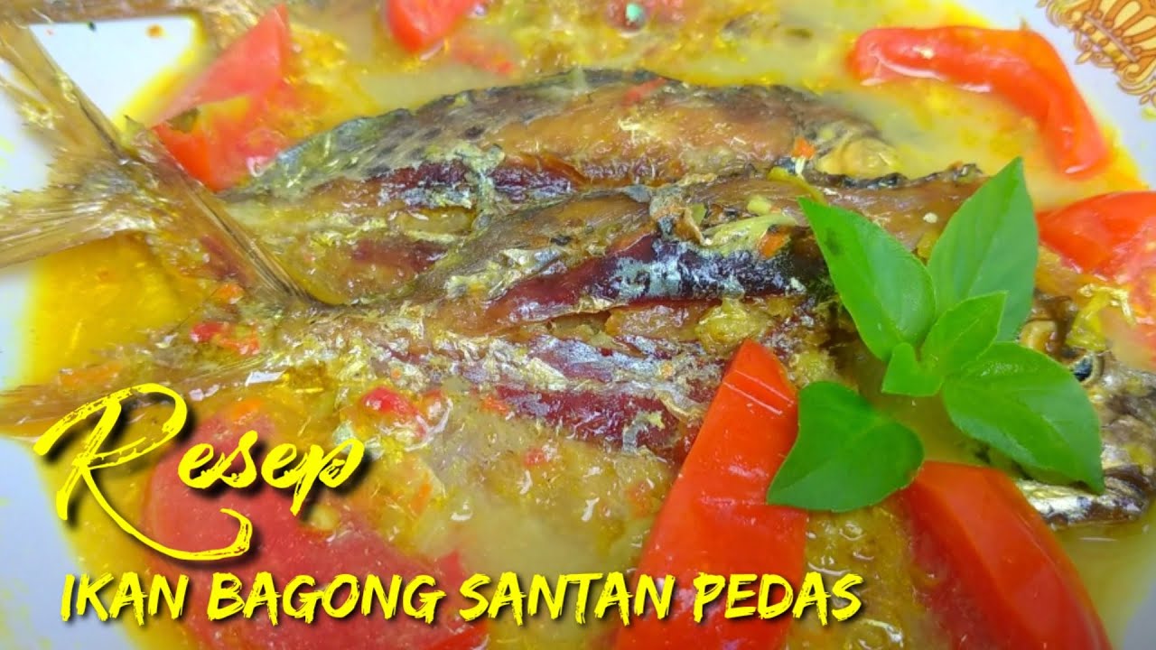 Masak Ikan Bagong / Ikan Semar Asap Santan Pedas || Ikan Menot favorit ...