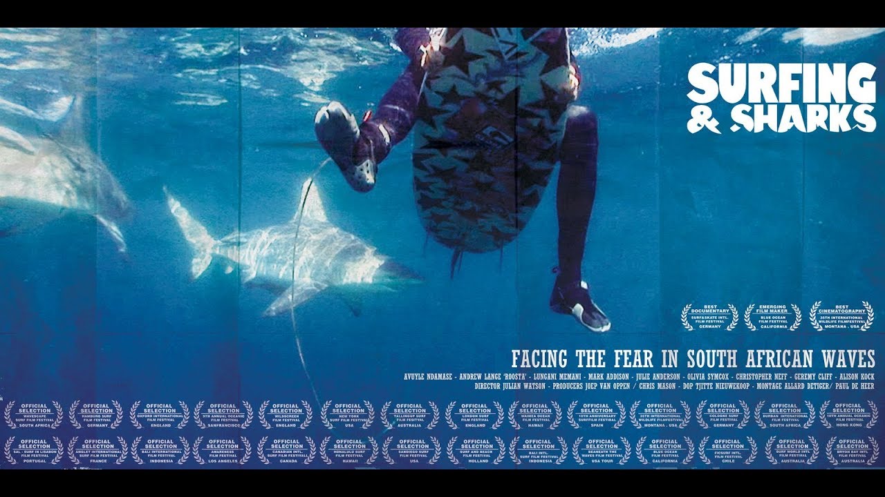 SURFING & SHARKS Documentary Film - Trailer - YouTube