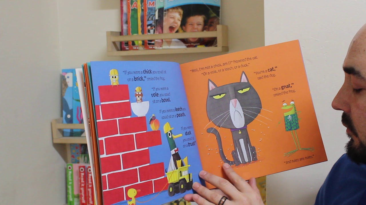 Children's Story: Oi Cat! by Kez Grey - YouTube
